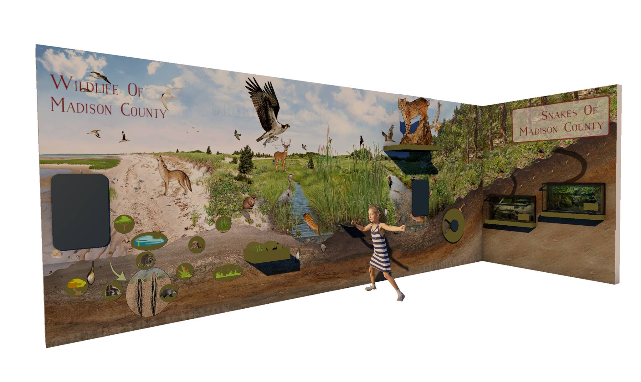 Area B: Meet the Animals - Madison County Parks & Conservation Center